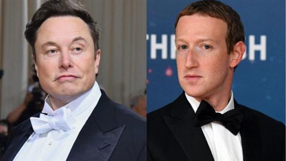 Mark Zuckerberg Accepts Elon Musk's Cage Fight Challenge