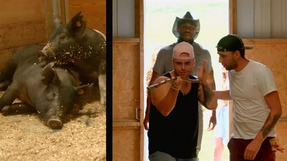 "Relatively Famous: Ranch Rules": Celeb Kids Wrangle PIGS!