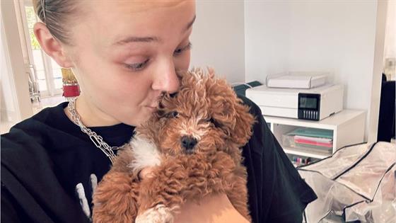 JoJo Siwa Mourns Death of Her Puppy After He Suffers Fatal Accident