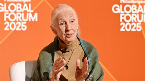 Jane Goodall, Famed Anthropologist and Activist, Dead at 91