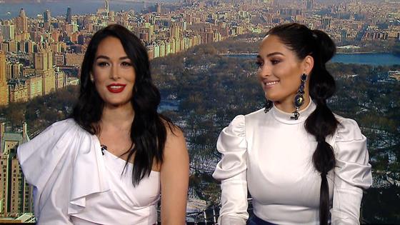 Brie Bella Reveals Daughter Birdies Latest Milestone E Online Ca