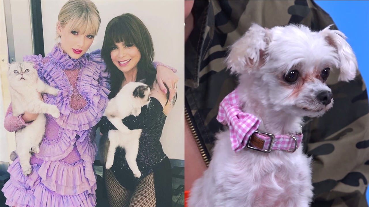 Celebrity Pets of Taylor Swift, Maluma & More | E! News